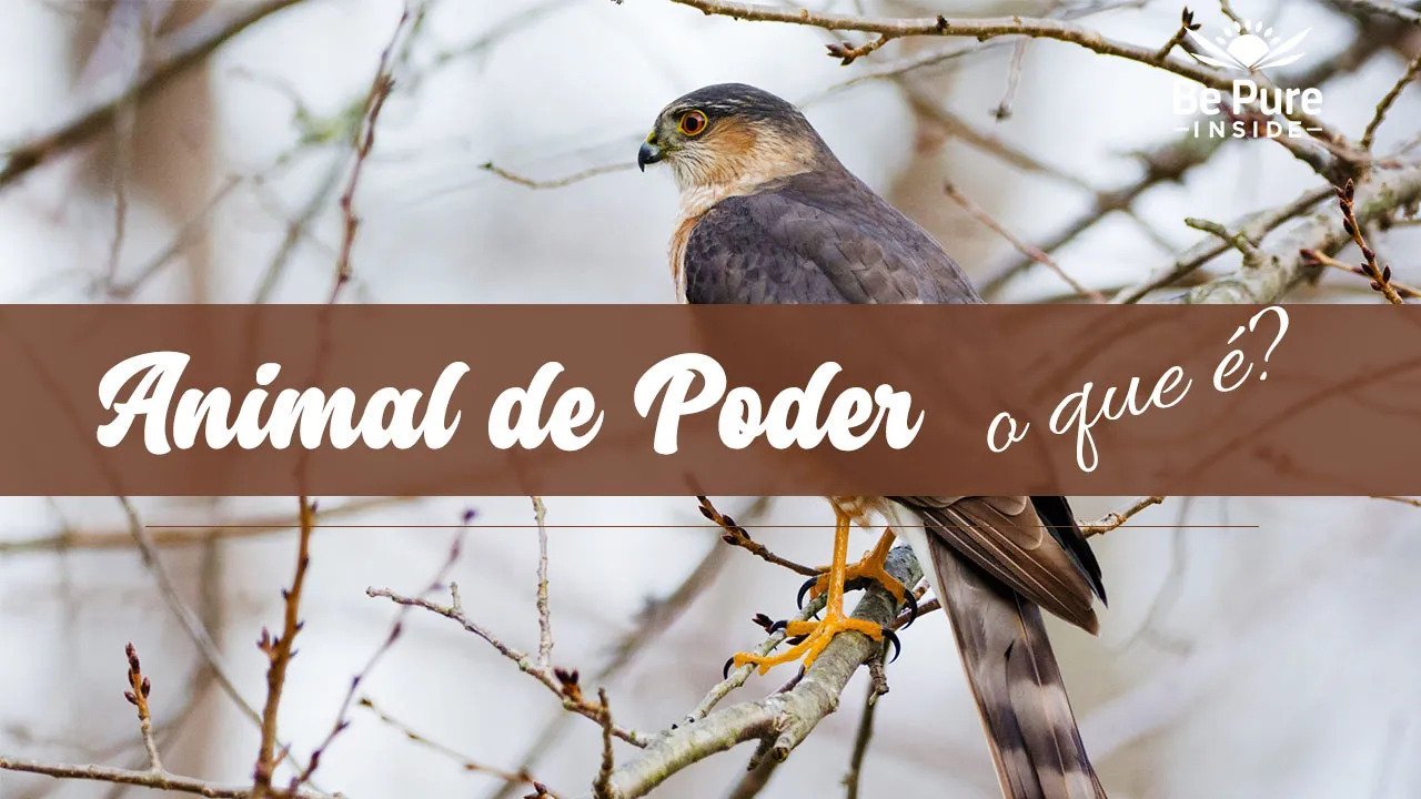 Animal de poder – O que é? - Be Pure Inside